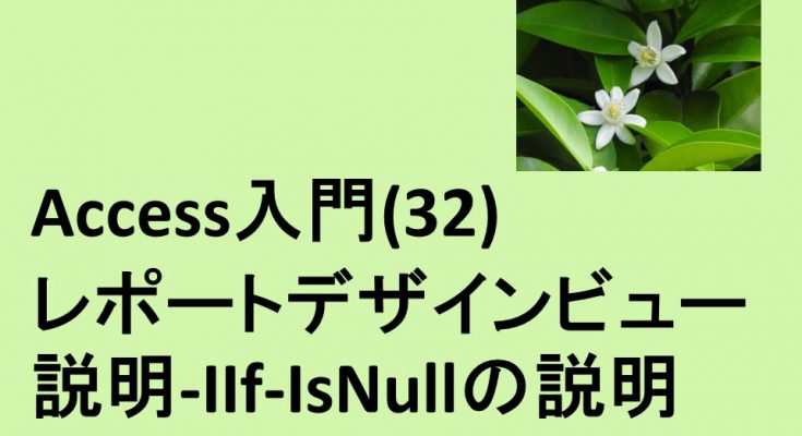 Access入門(32)レポートデザインビュー説明～IIf-IsNullの説明～ | Access・Excel倶楽部