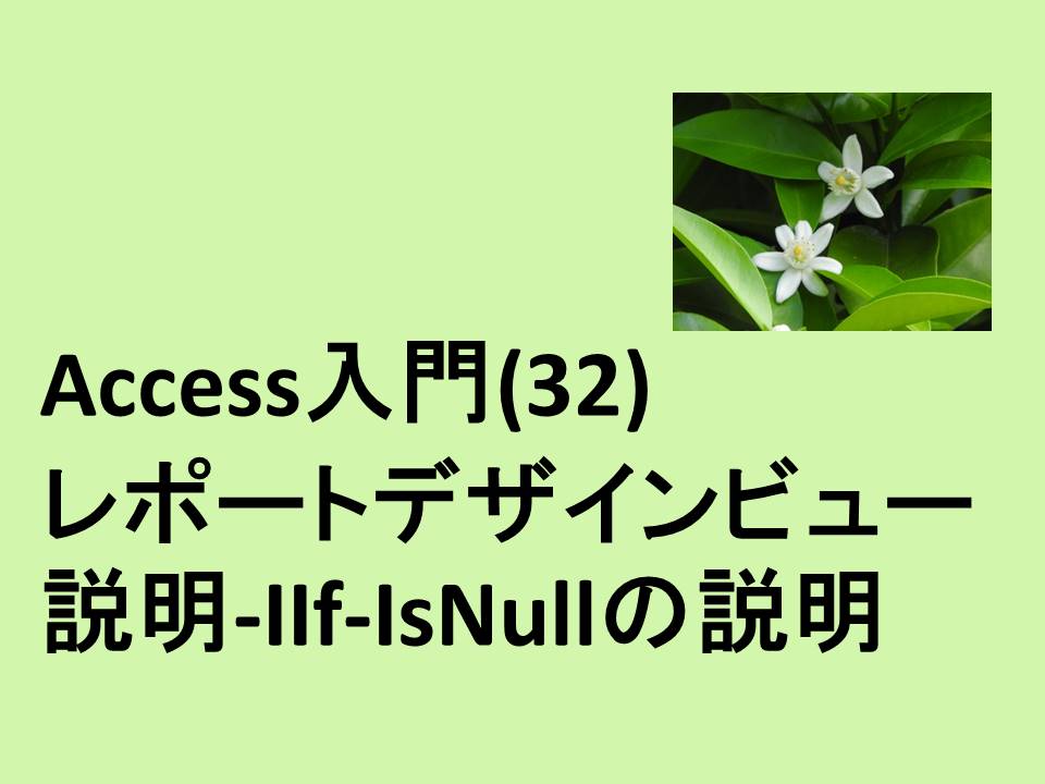 Access入門(32)レポートデザインビュー説明～IIf-IsNullの説明～ | Access・Excel倶楽部